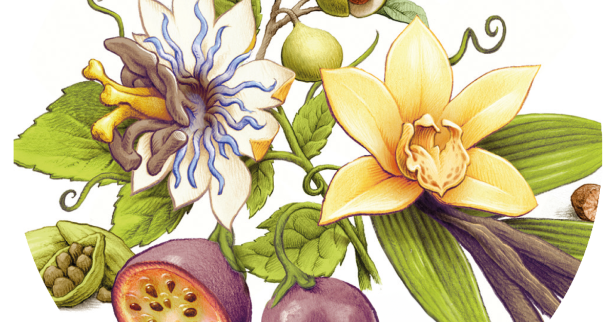 Delhi Licious | Two Chefs Brewing